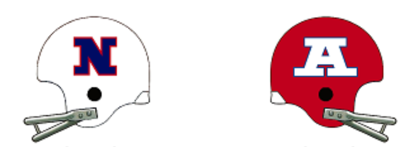 Pro Bowl Helmets – Riddell NFL Pocket Pro Helmets